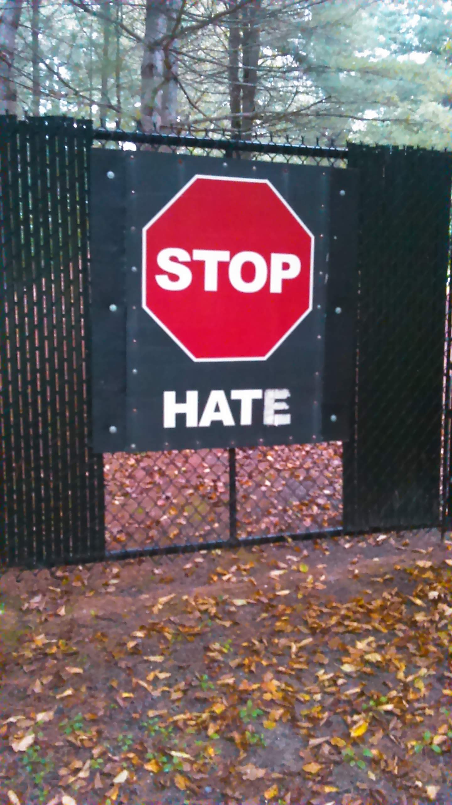 3 things to hate and love for fun and gratitude | Somerton Smith